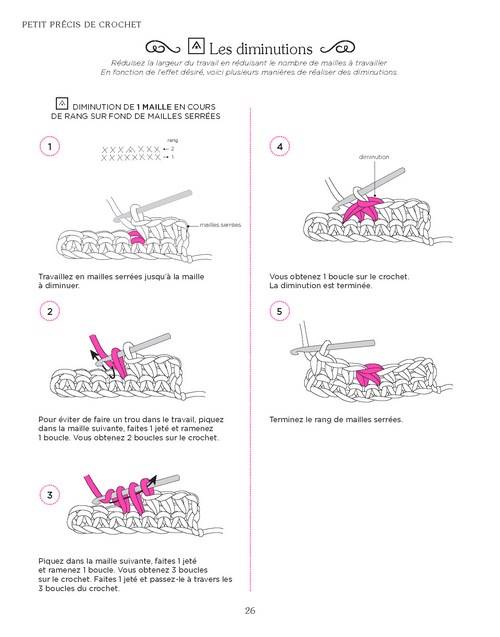 LE PETIT PRECIS DE CROCHET