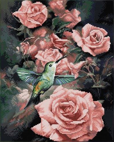 KIT BRODERIE DIAMANT DIAMOND DOTZ MASTERCLASS - ROSES HUMMINGBIRD
